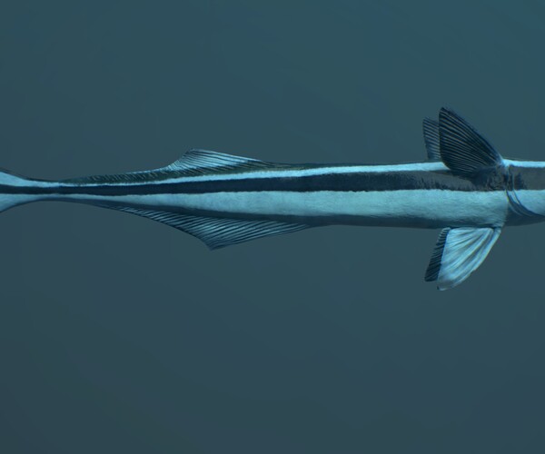 ArtStation - Remora Fish | Game Assets