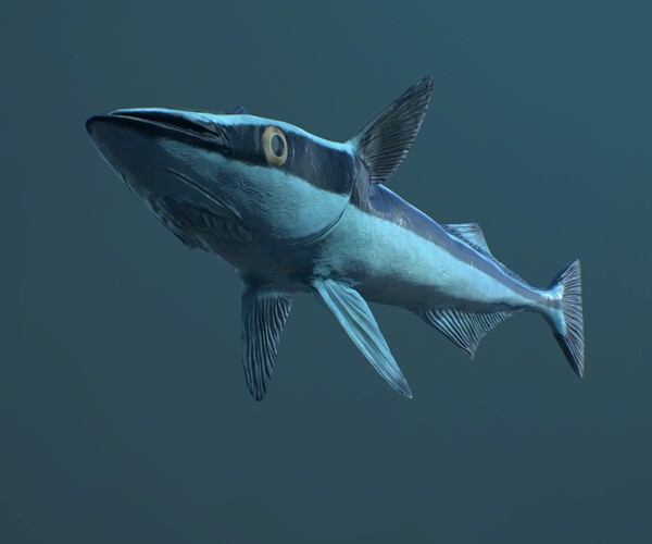 ArtStation - Remora Fish | Game Assets