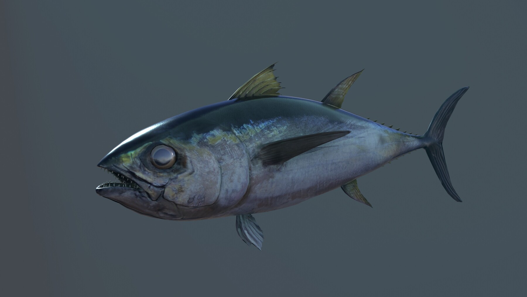 ArtStation - Tuna Fish | Game Assets