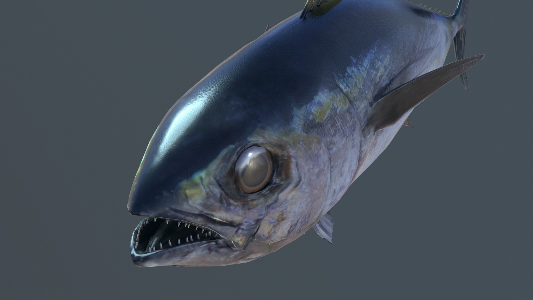 ArtStation - Tuna Fish | Game Assets