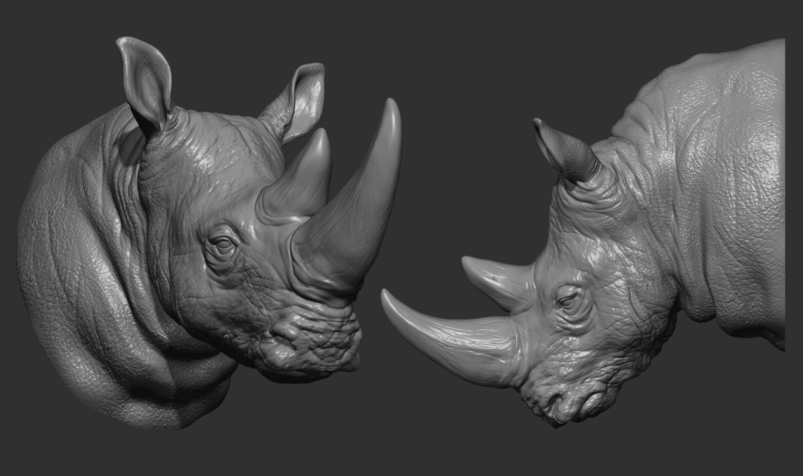 ArtStation - Rhinoceros head | Resources