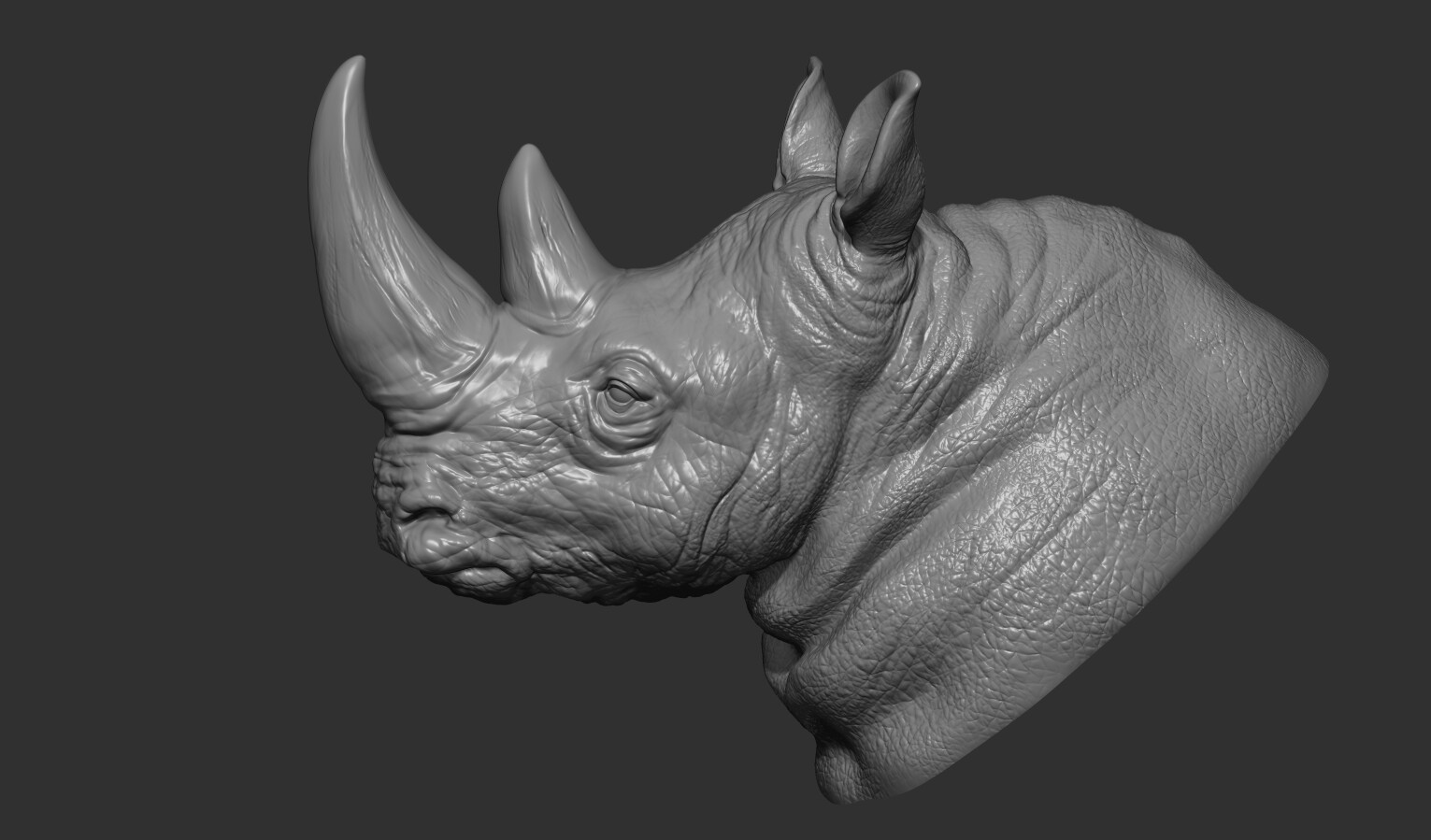 ArtStation - Rhinoceros head | Resources