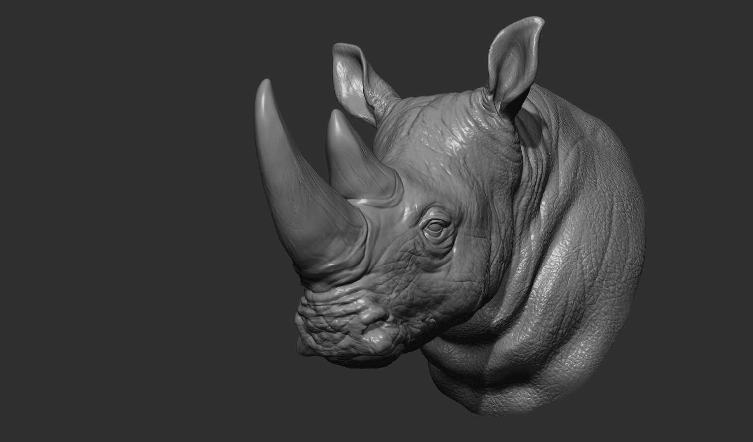 ArtStation - Rhinoceros head | Resources