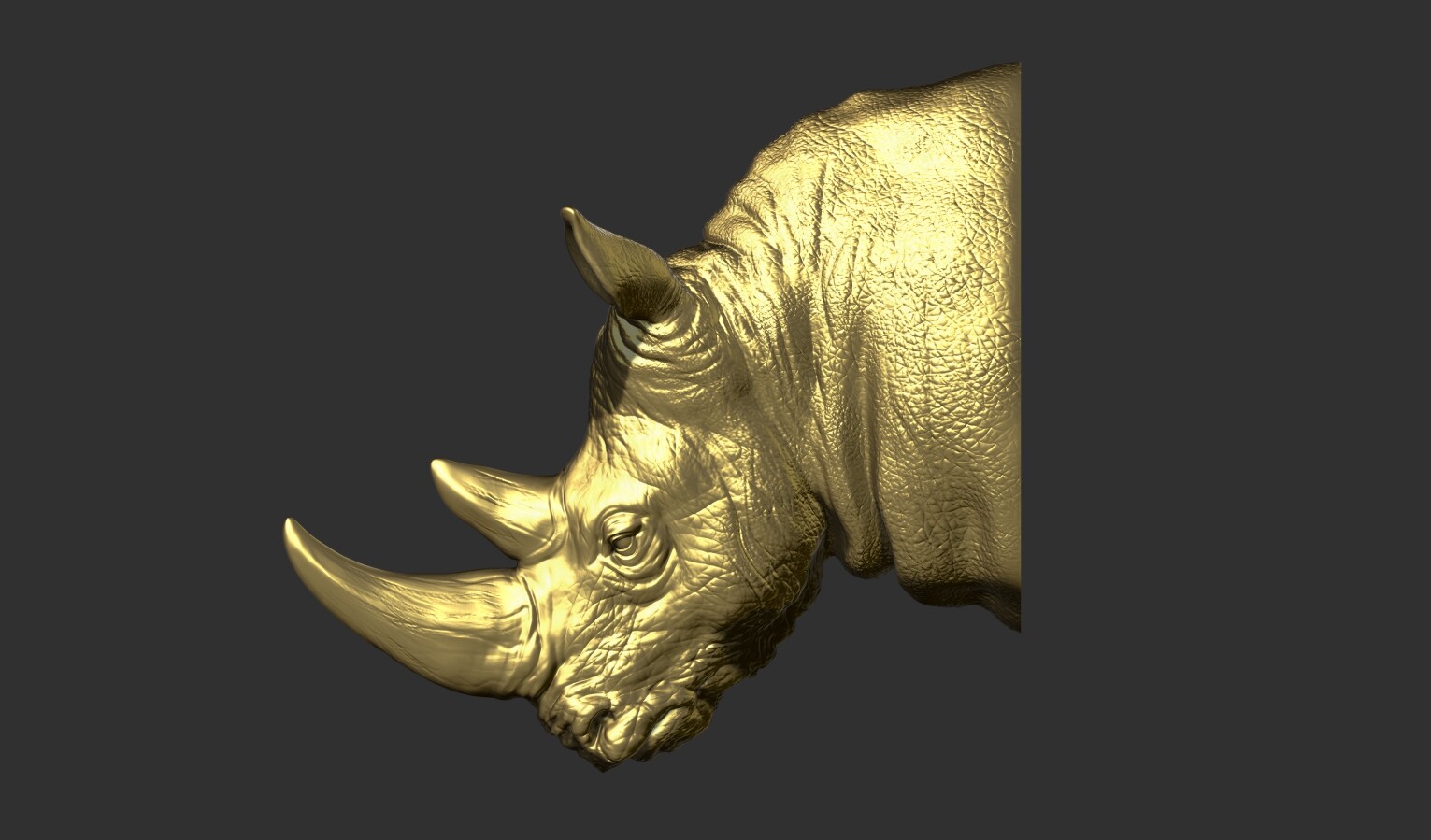 ArtStation - Rhinoceros head | Resources