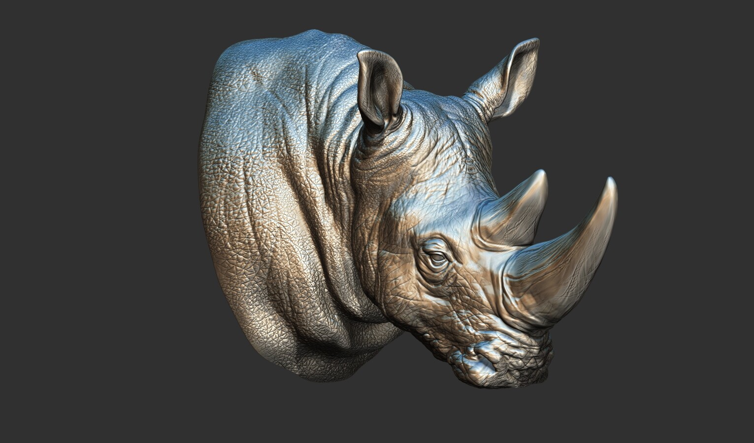 ArtStation - Rhinoceros head | Resources