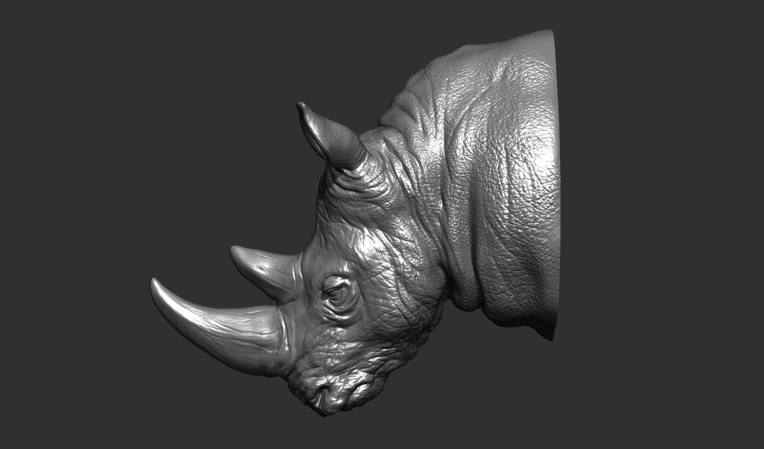 ArtStation - Rhinoceros head | Resources