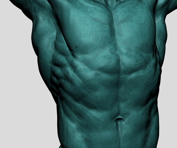 ArtStation - Male Torso 09 | Resources