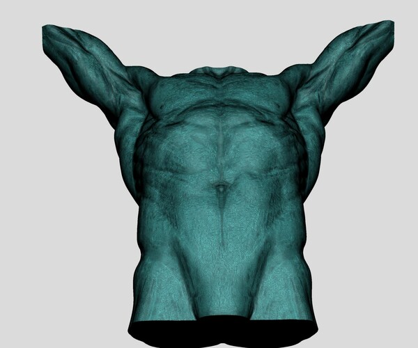 ArtStation - Male Torso 09 | Resources