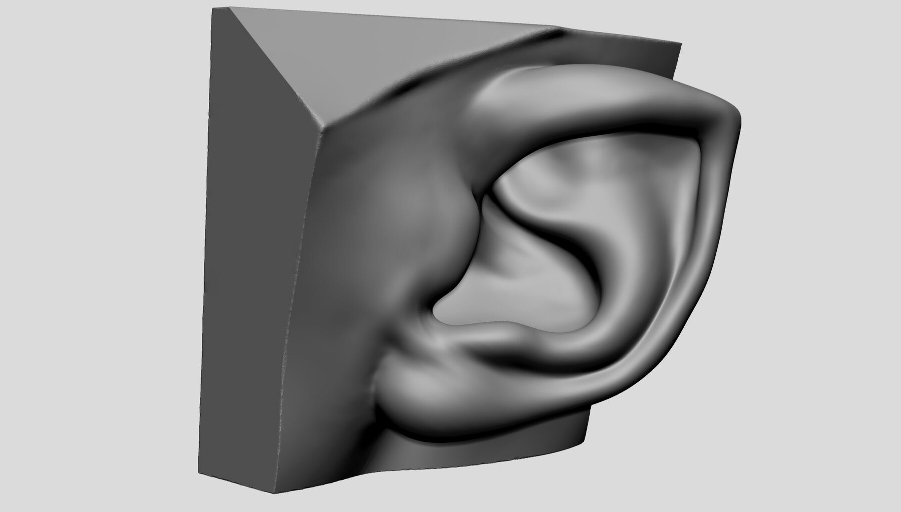 ArtStation - Ear Models | Resources