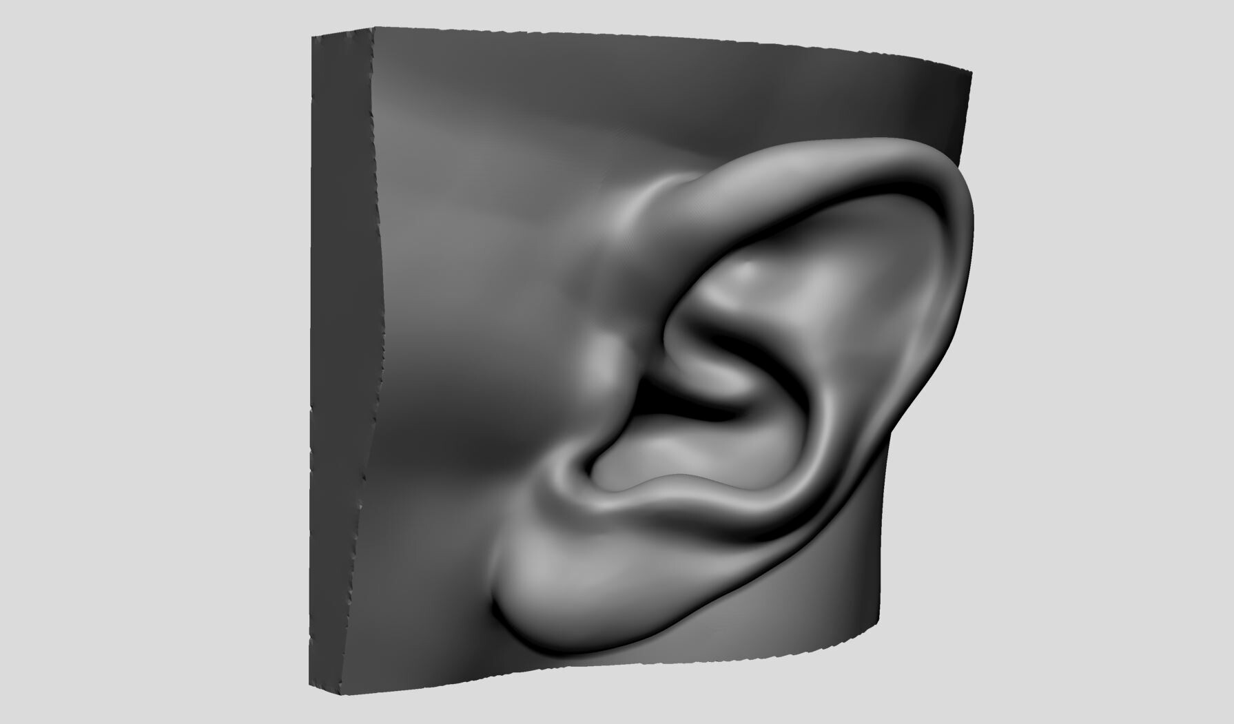 ArtStation - Ear Models | Resources
