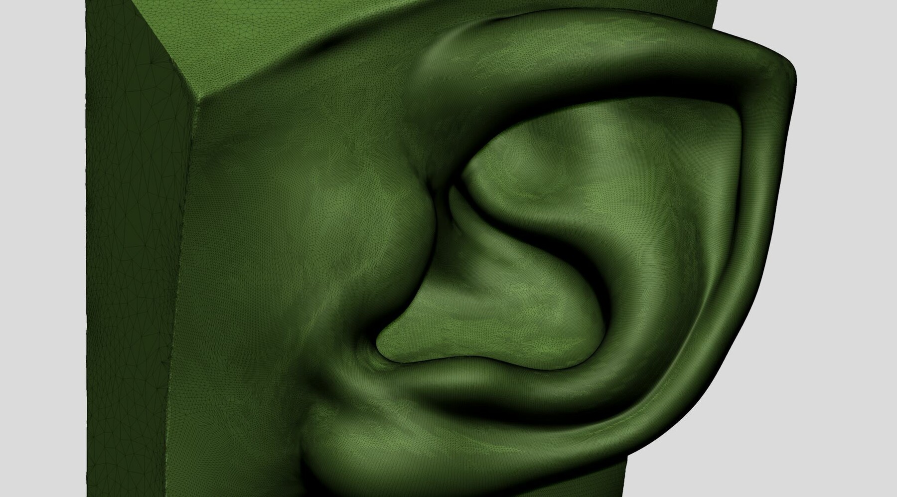 ArtStation - Ear Models | Resources