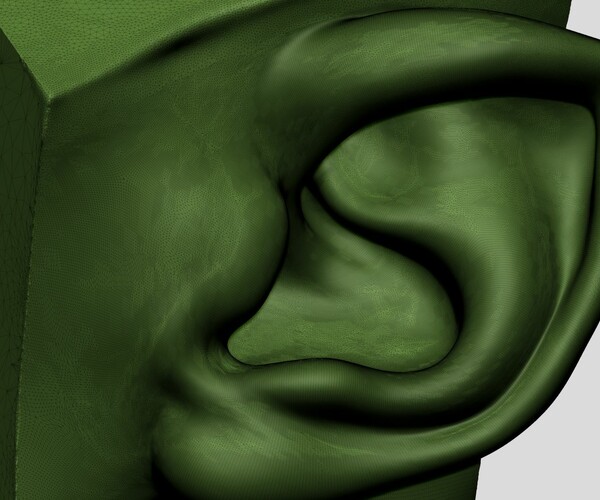 ArtStation - Ear Models | Resources