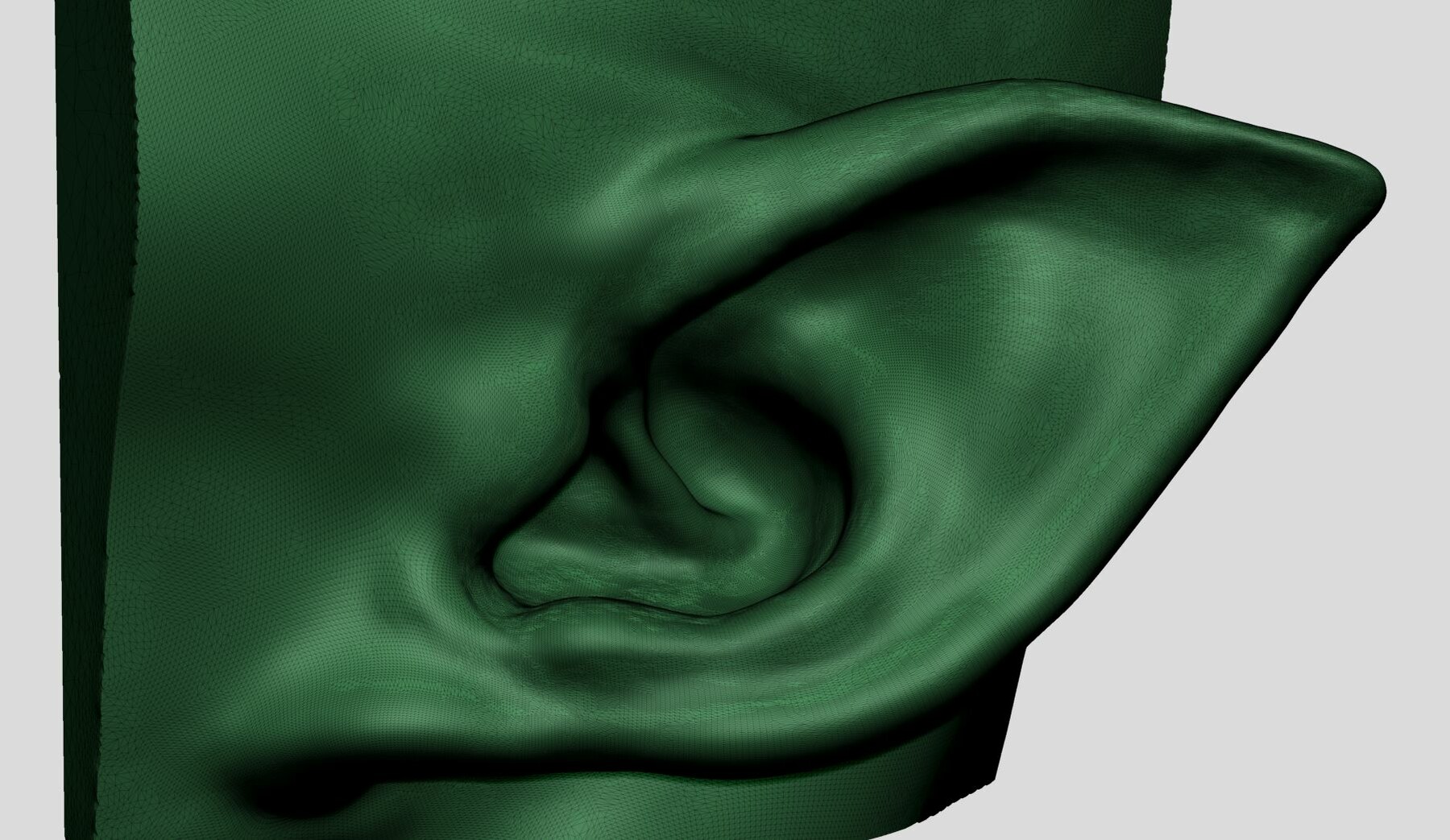 ArtStation - Ear Models | Resources