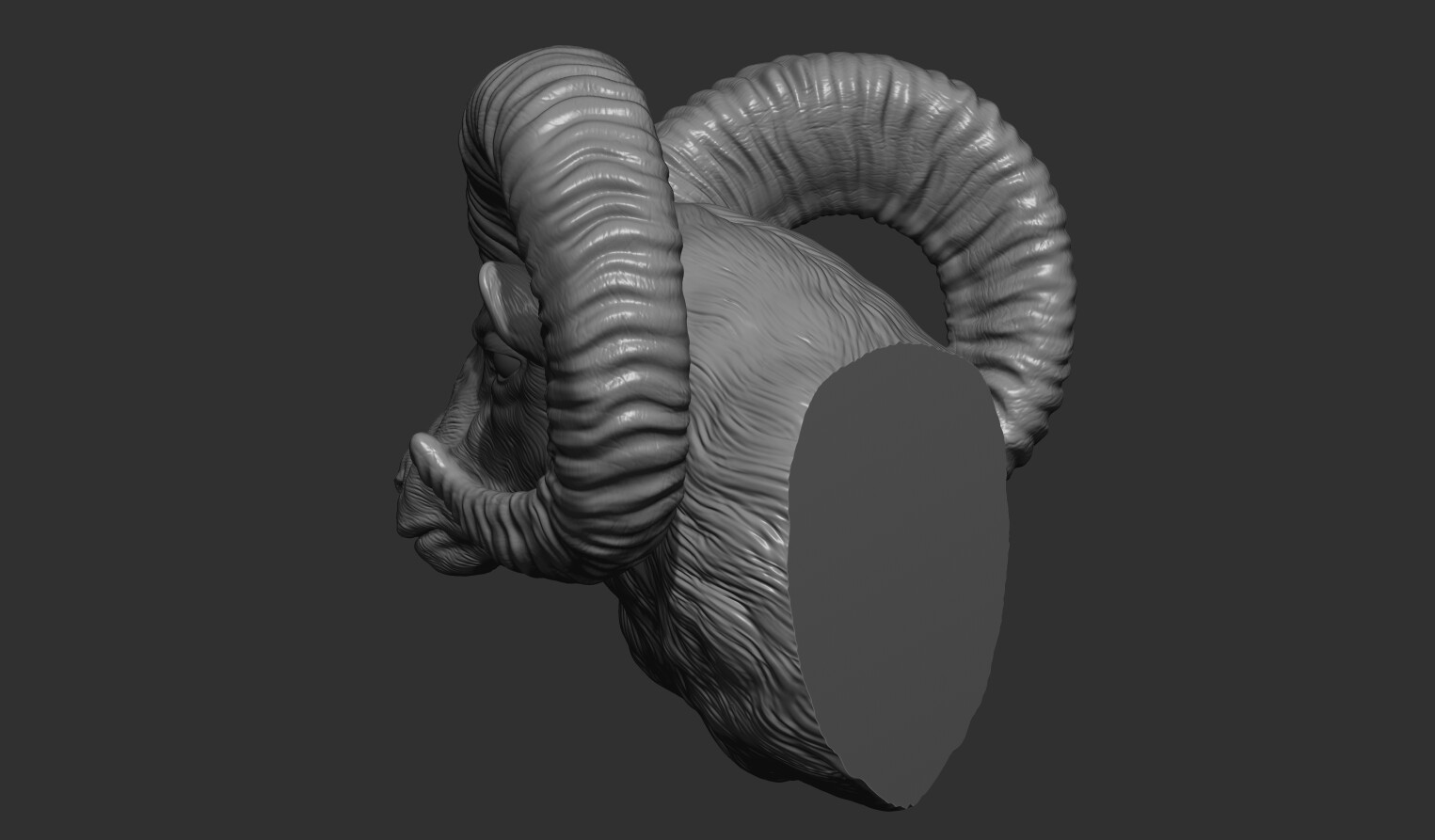 ArtStation - Big Horned Ram head | Resources