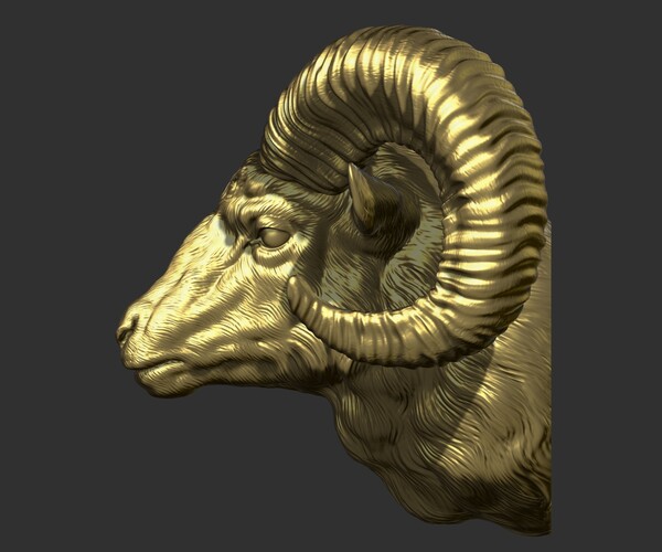 ArtStation - Big Horned Ram head | Resources
