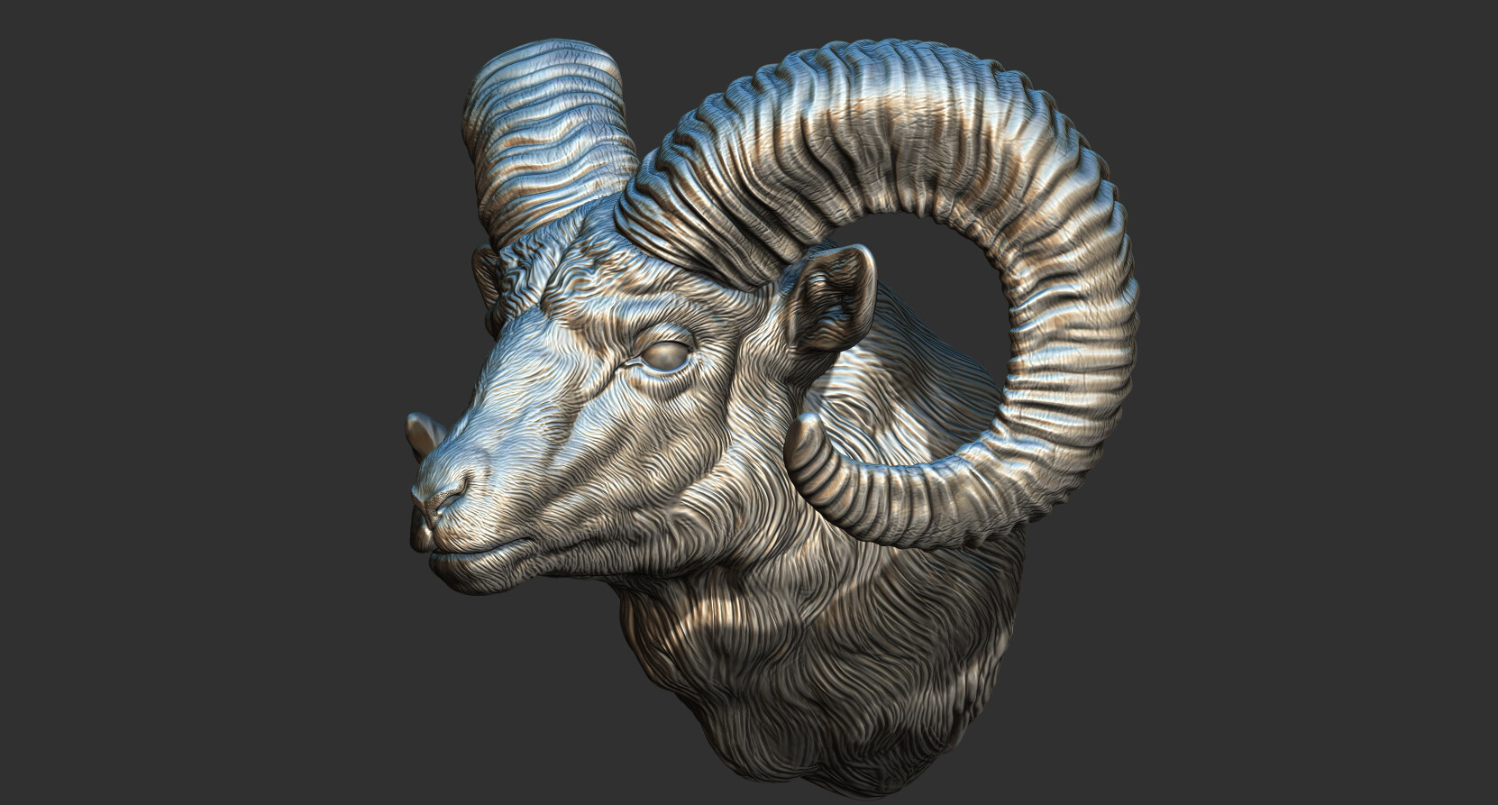 ArtStation - Big Horned Ram head | Resources