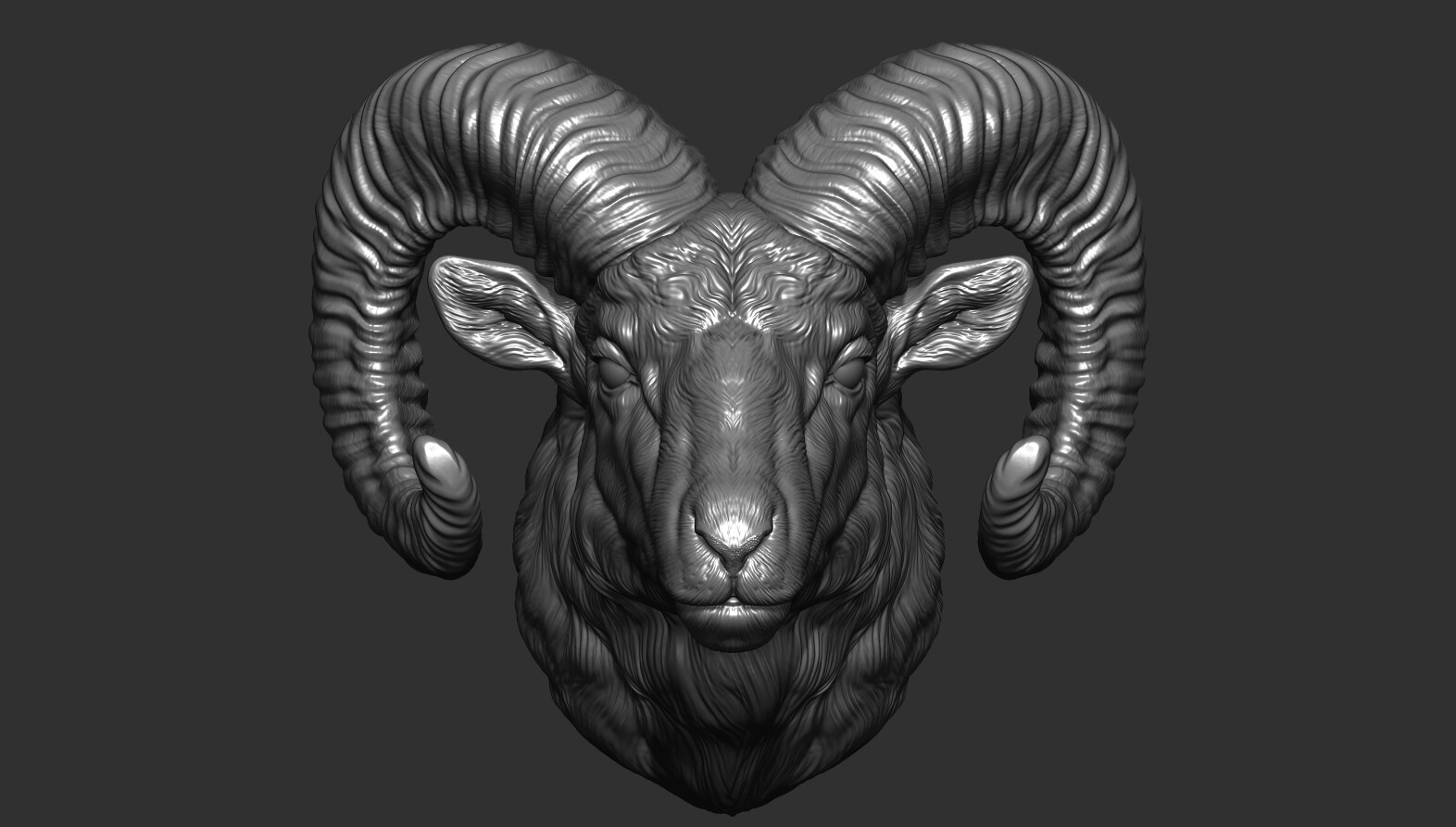 ArtStation - Big Horned Ram head | Resources