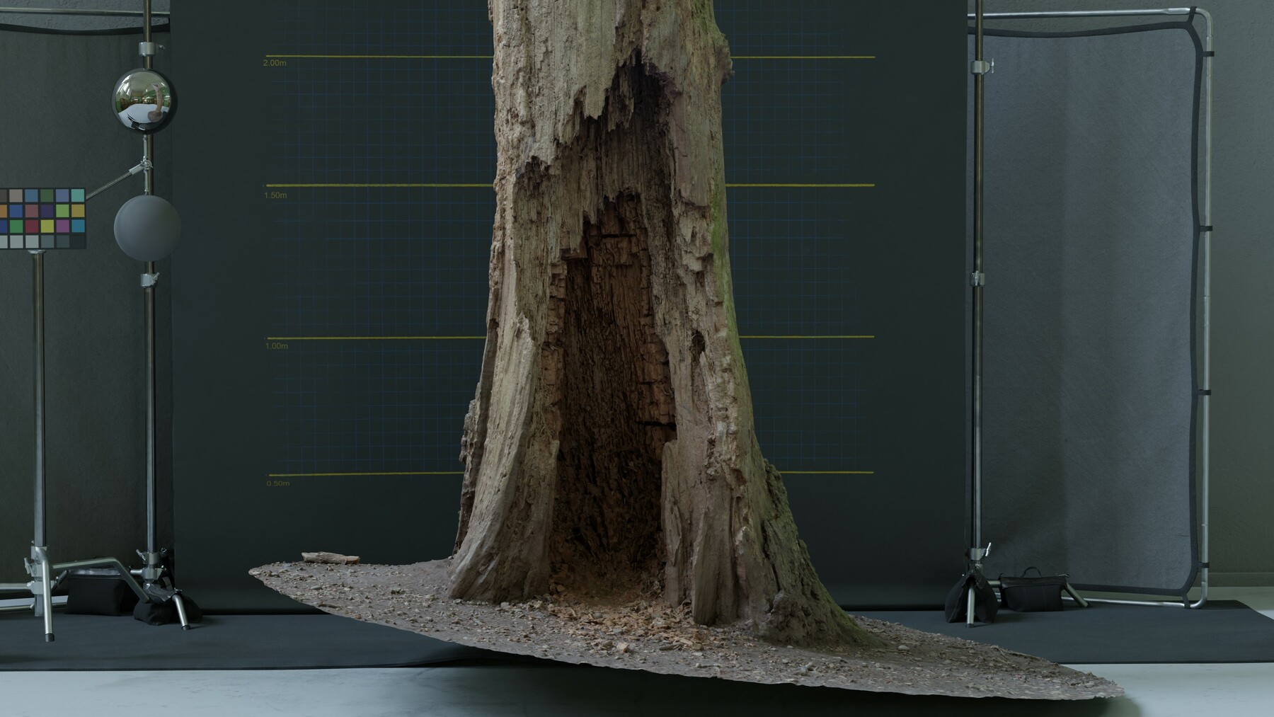 ArtStation - Rotten Tree Stump Photogrammetry | Game Assets