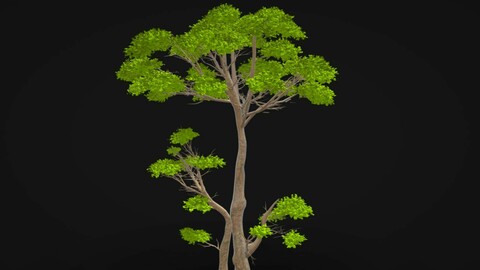 ArtStation - Tree | Game Assets