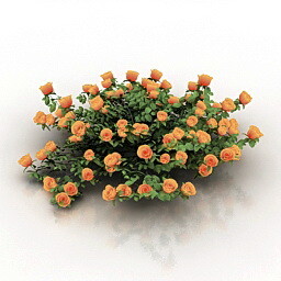 ArtStation - Resource-Interior-Exterior-Roses-Tree-Rose-Bush | Resources