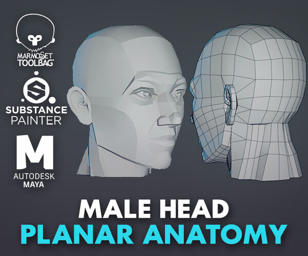 ArtStation - Character - Male Head Planar | Resources