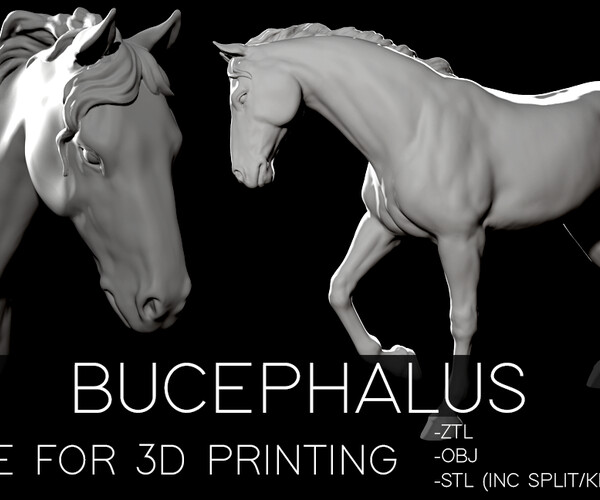ArtStation - Bucephalus - Horse for 3D printing | Resources