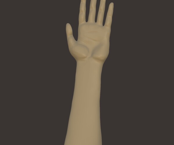 ArtStation - Arm and hand 3D (Obj, Stl,.. | Resources