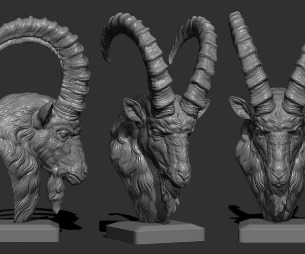 ArtStation - Ibex goat head | Resources