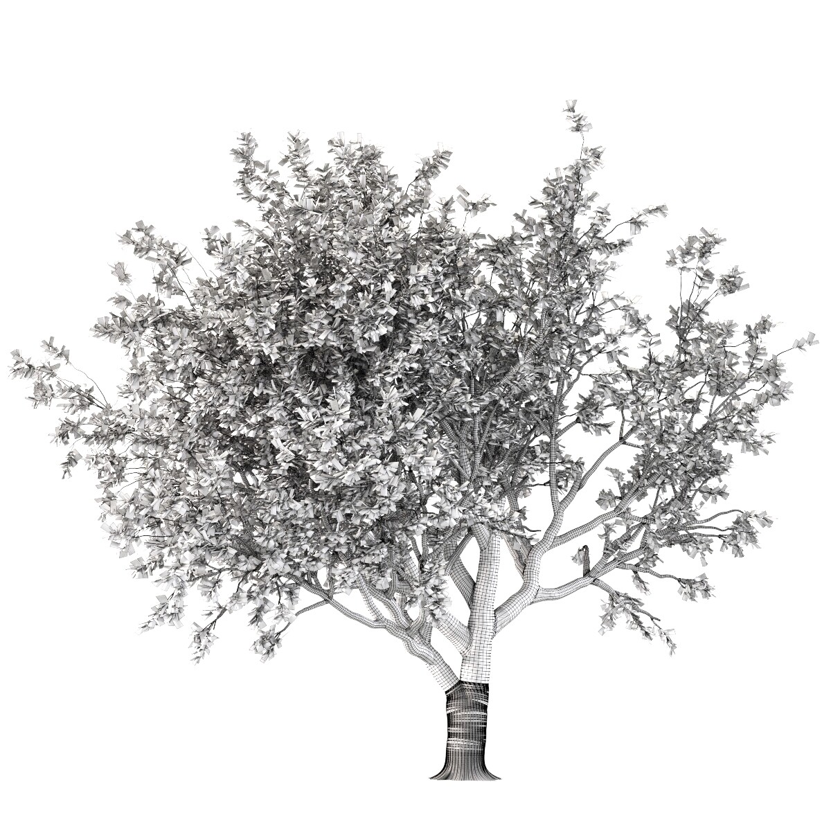 ArtStation - Loquat Tree (2 Trees and 2 sizes) | Game Assets