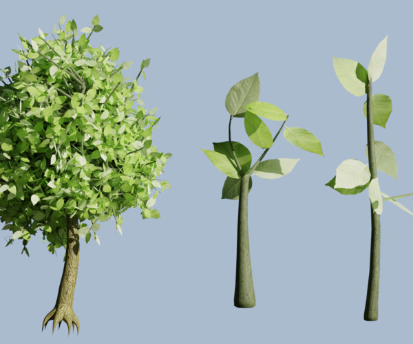 ArtStation - Procedural Tree | Resources