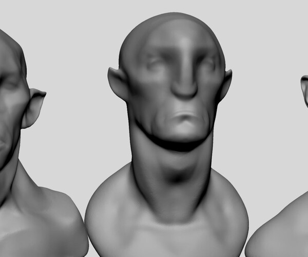 ArtStation - Base Creature Heads | Resources