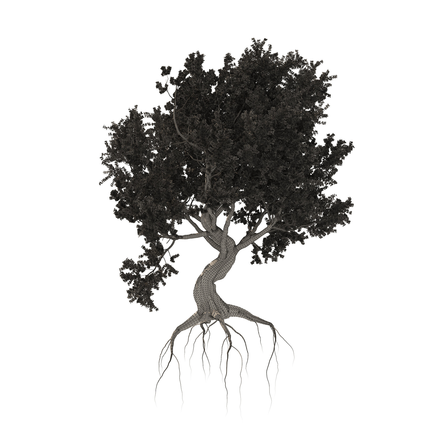 ArtStation - Fantastic Old Olive Tree | Resources