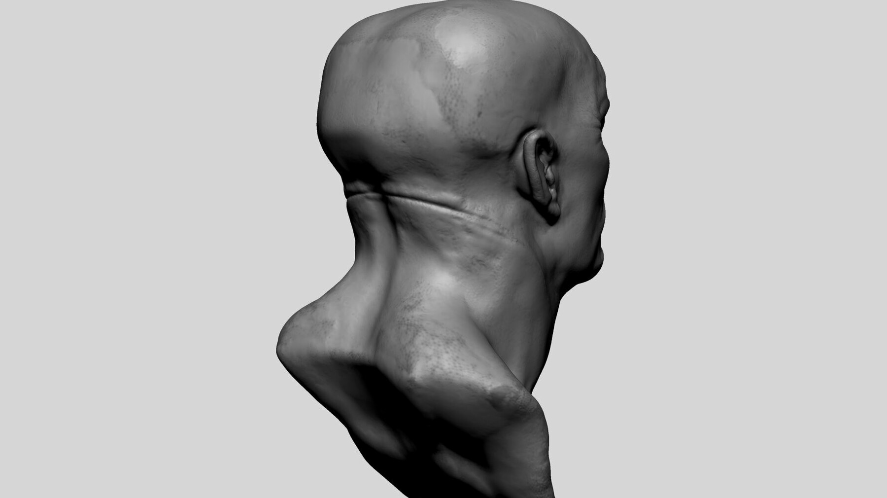ArtStation - Fantasy Creature Head 11 | Resources