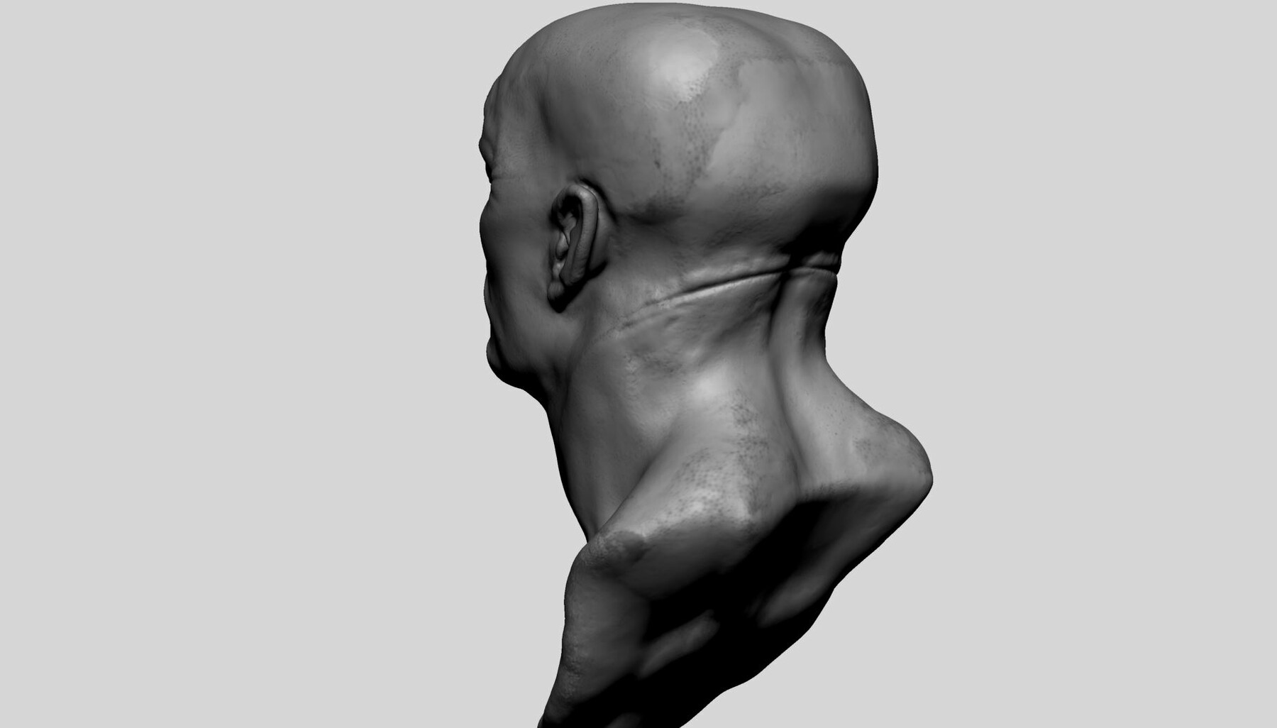 ArtStation - Fantasy Creature Head 11 | Resources