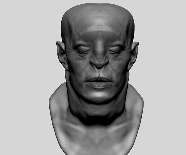 ArtStation - Fantasy Creature Head 11 | Resources
