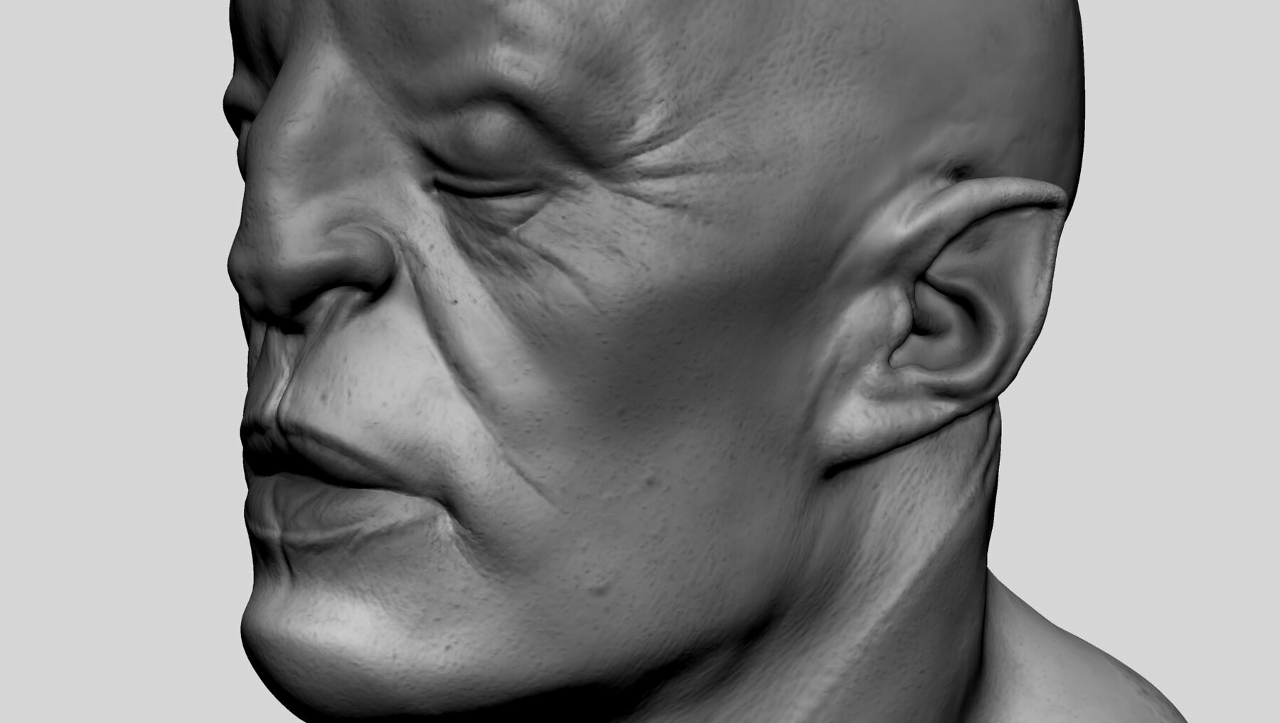 ArtStation - Fantasy Creature Head 11 | Resources