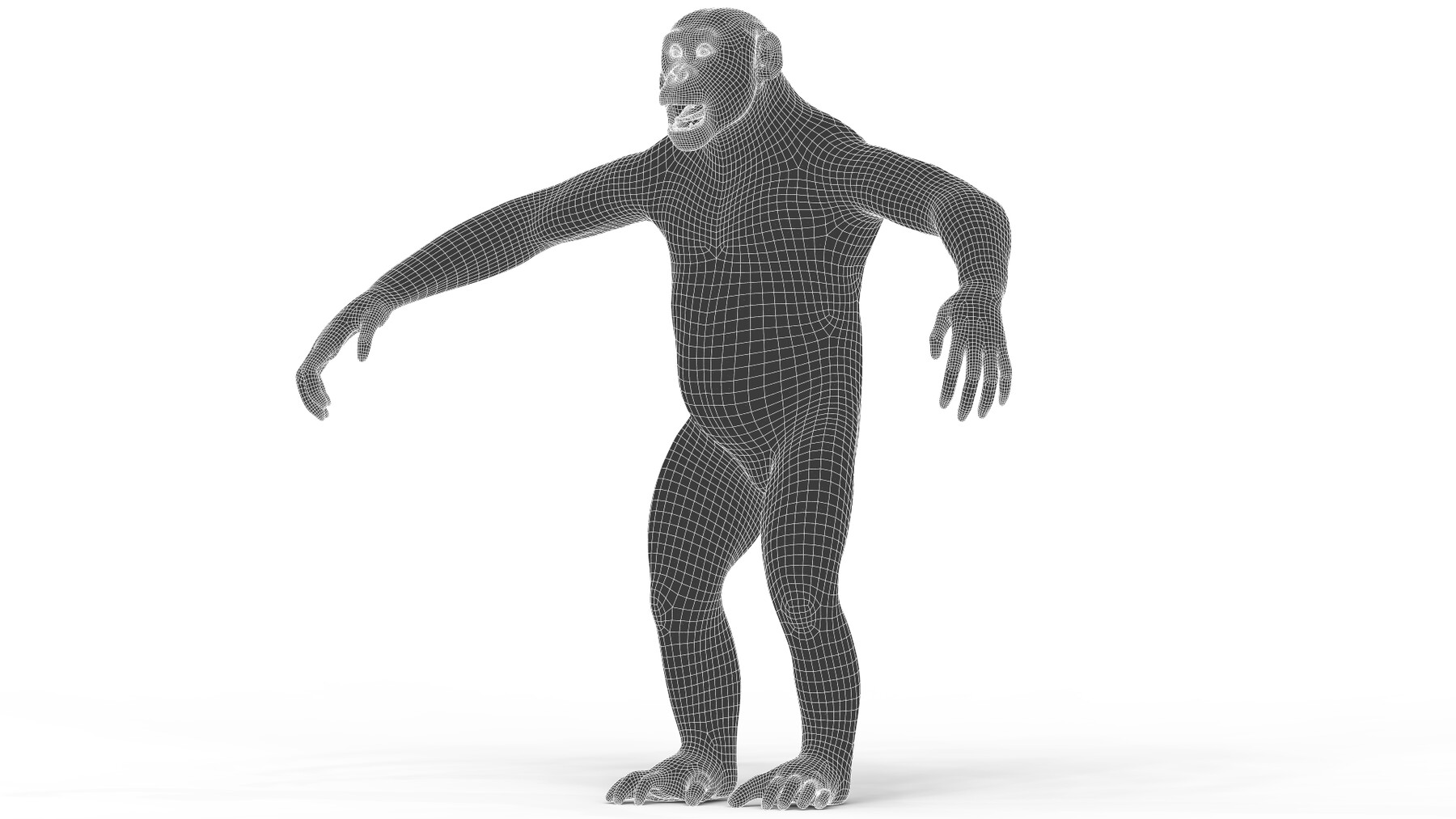 ArtStation - Chimpanzee | Resources