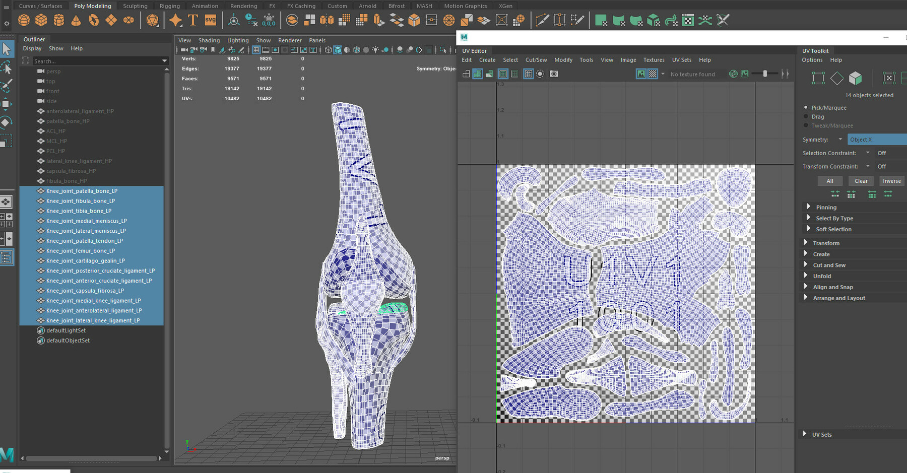ArtStation - Low poly knee 3d joint model | Resources