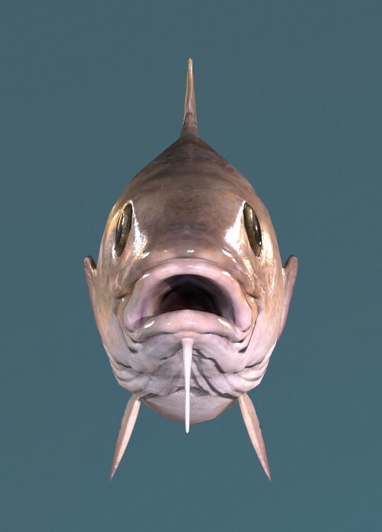 ArtStation - Cod Fish | Game Assets