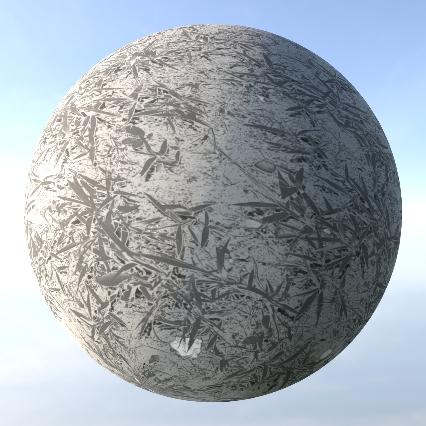 ArtStation - Forest Ground 47 PBR Material | Game Assets