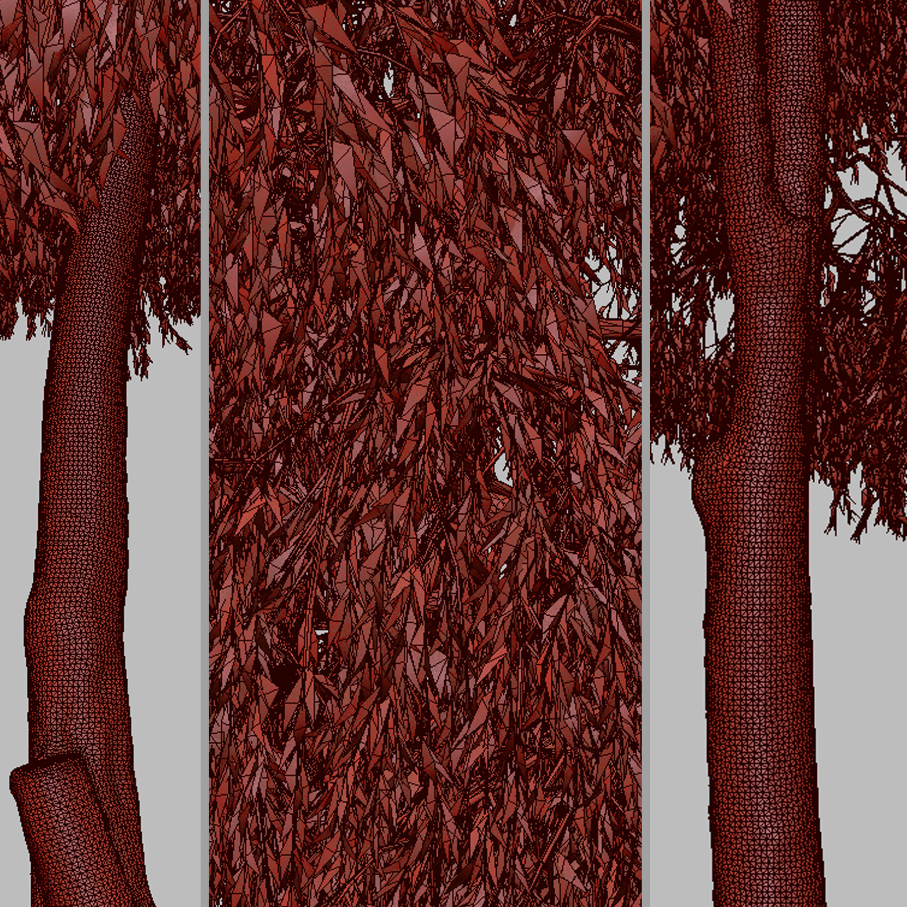 ArtStation - Set of Australian Willow Tree ( Geijera parviflora ) (2 ...