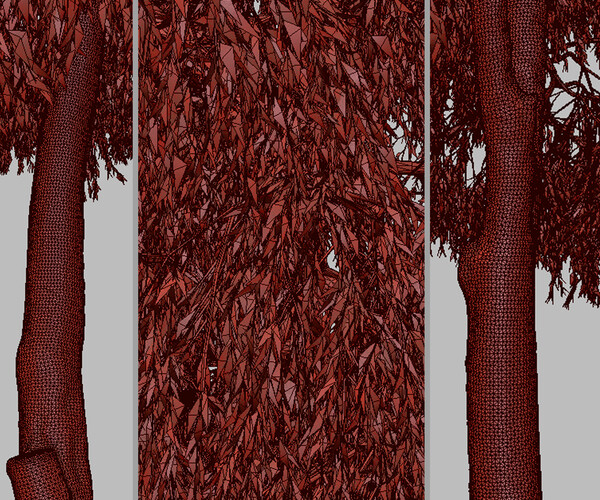 ArtStation - Set of Australian Willow Tree ( Geijera parviflora ) (2 ...