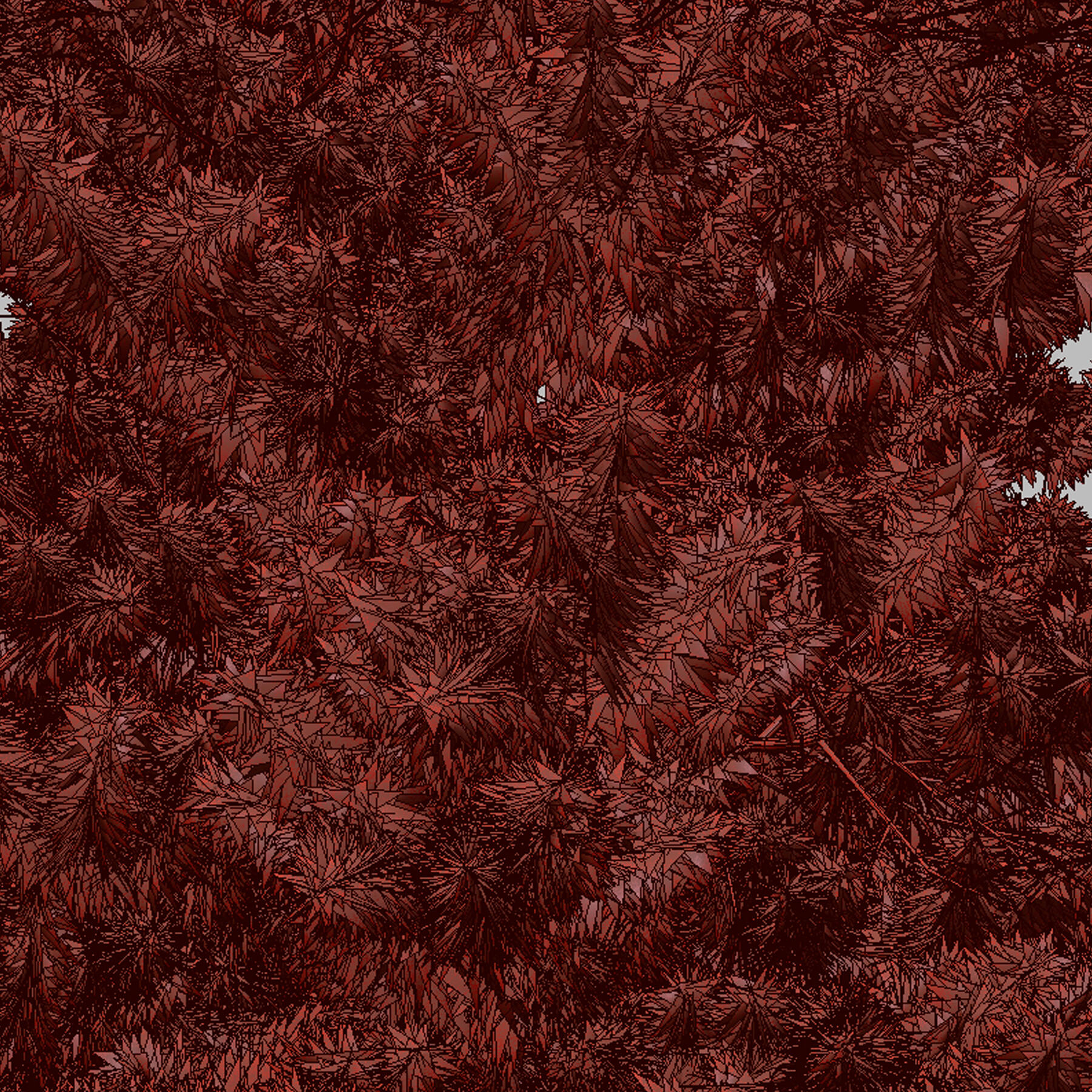 ArtStation - Red spruce Tree ( Picea rubens ) ( 3Ds MAX - Blender ...