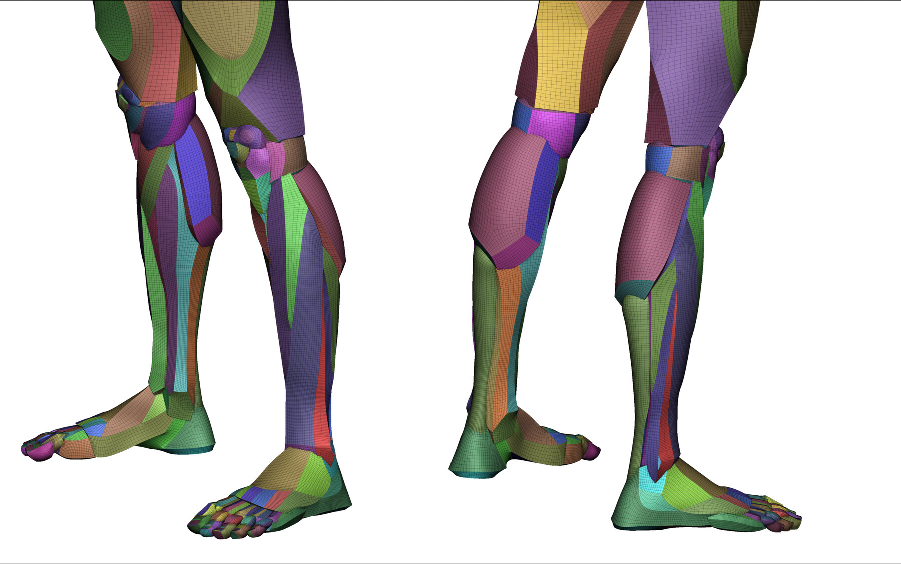 ArtStation - Modular Anatomy | Resources