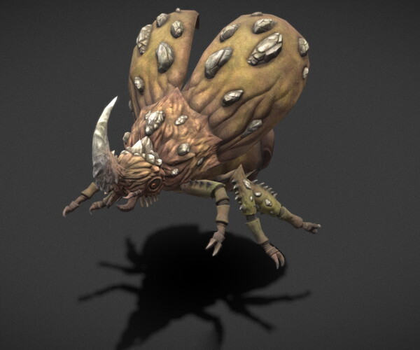 ArtStation - Fantasy Creature - Battle Beetle | Game Assets