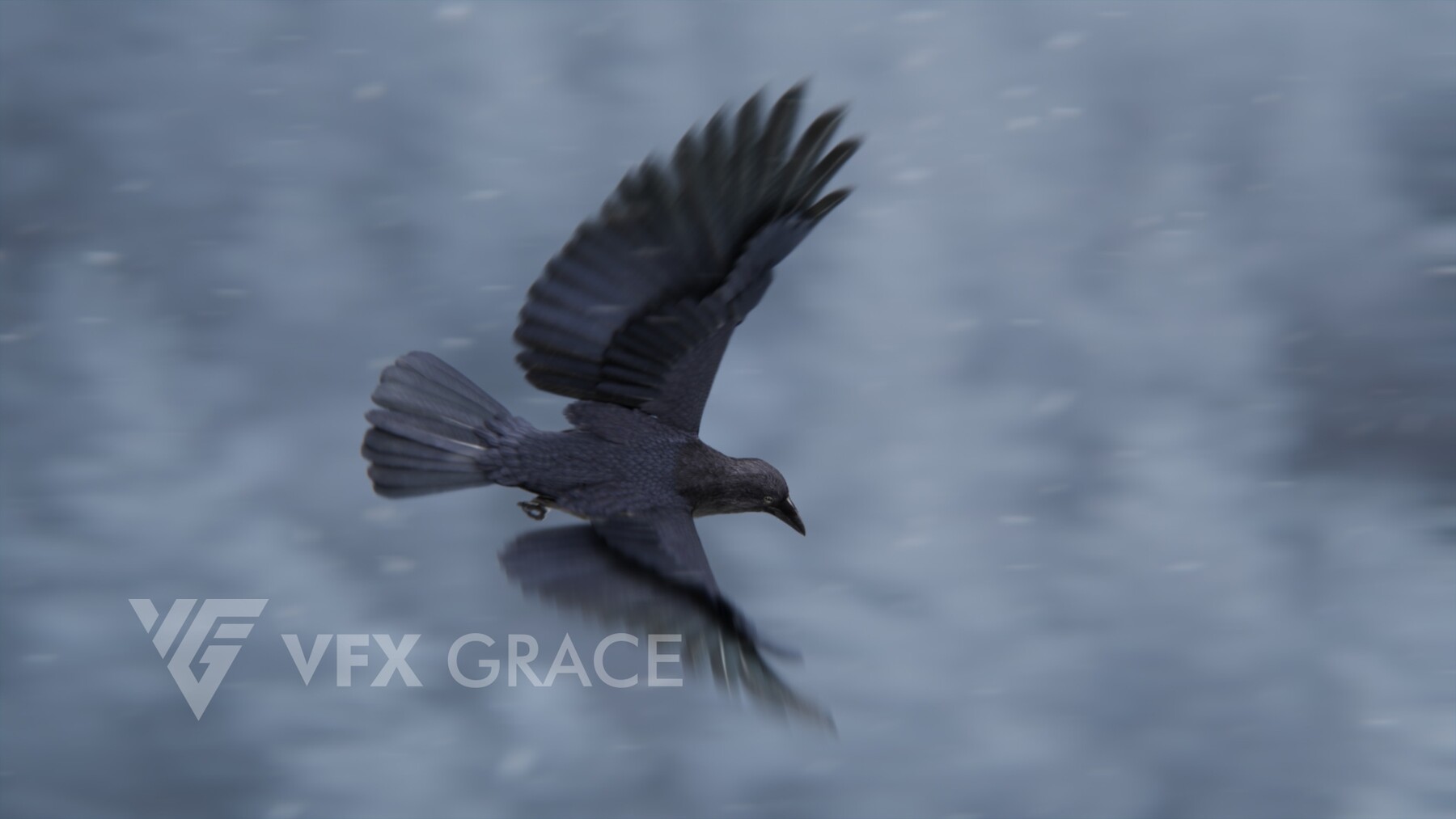 ArtStation - Carrion Crow Animated | VFX Grace | Game Assets