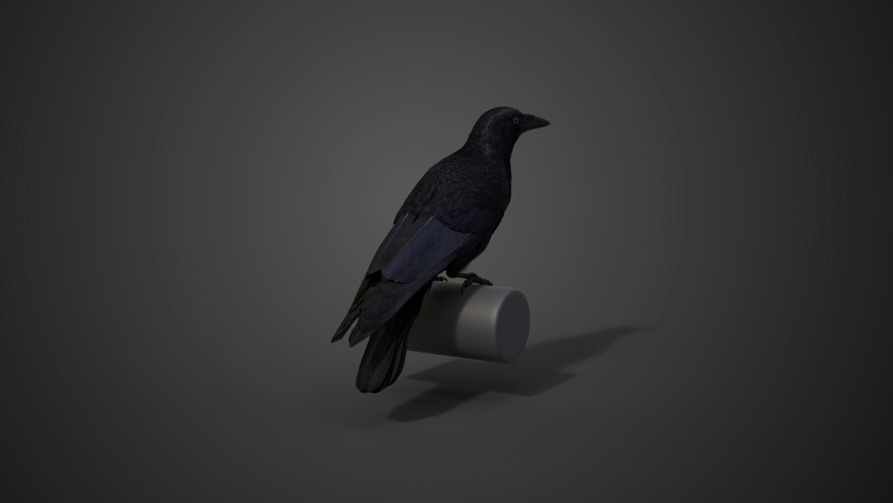 ArtStation - Carrion Crow Animated | VFX Grace | Game Assets