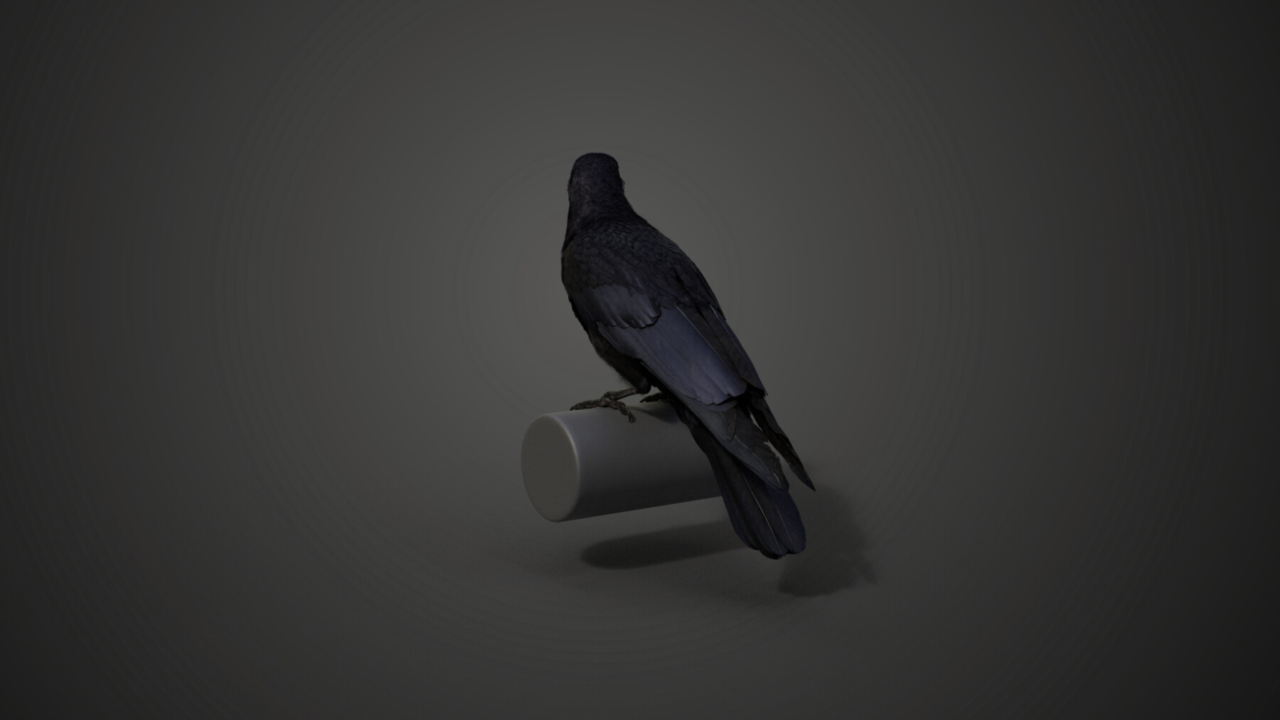ArtStation - Carrion Crow Animated | VFX Grace | Game Assets