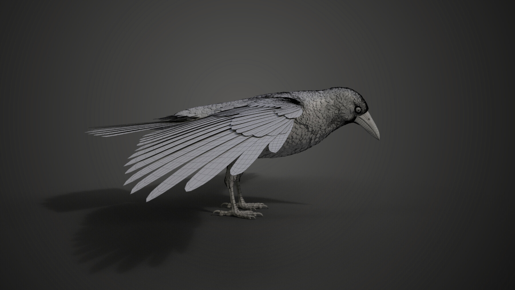 ArtStation - Carrion Crow Animated | VFX Grace | Game Assets