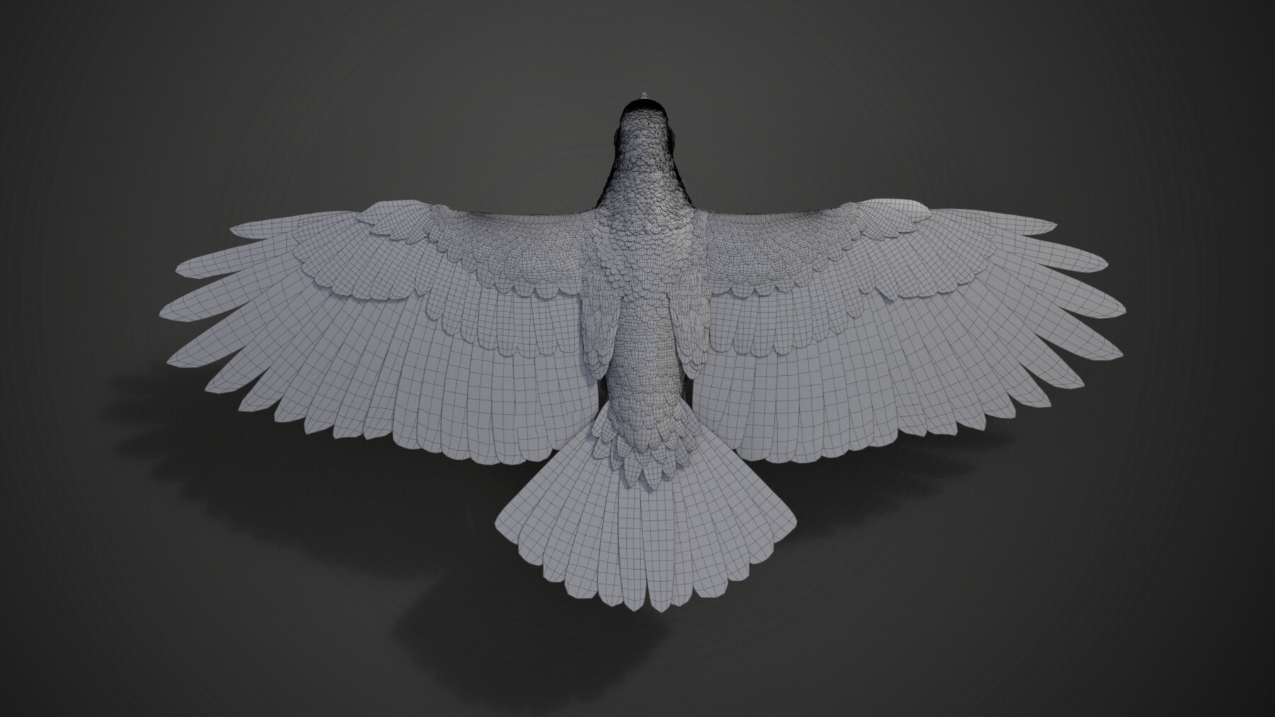 ArtStation - Carrion Crow Animated | VFX Grace | Game Assets